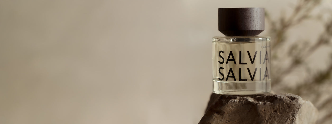 SALVIA SALVIA